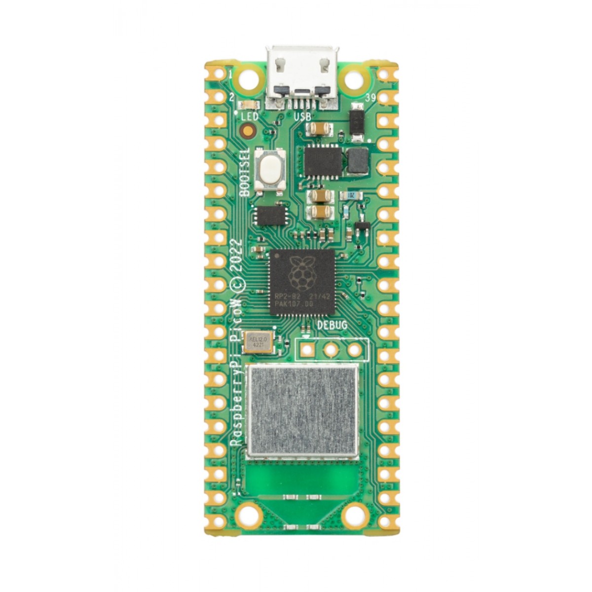 Raspberry Pi Pico W - RP2040 - RPIPICOW